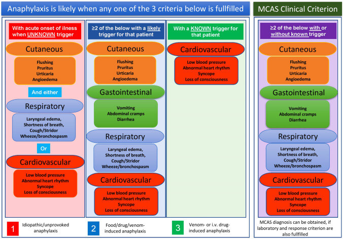 Recognizing Mast Cell Activation Syndrome (MCAS)