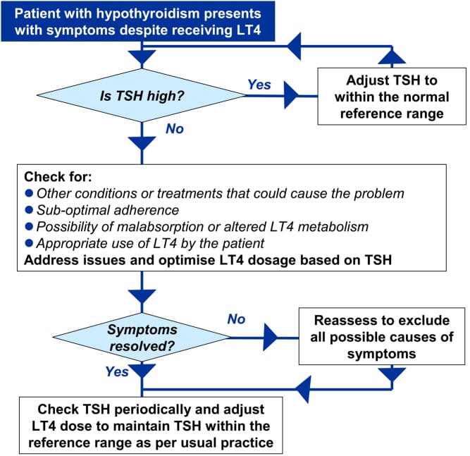 T4 + T3 = Hypothyroidism Relief