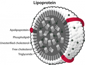 Know Your Biomarkers: Apolipoproteins