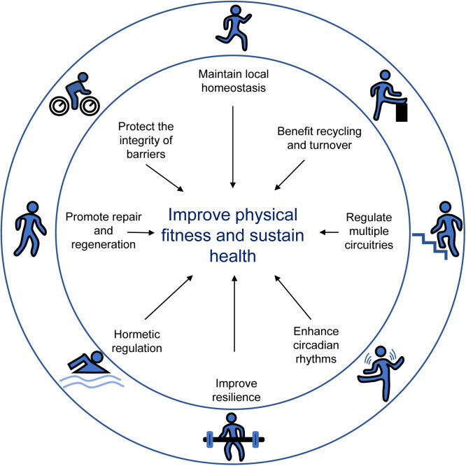 Picture How Exercise Sustains Health