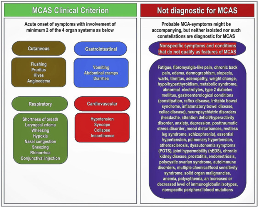 Recognizing Mast Cell Activation Syndrome (MCAS)