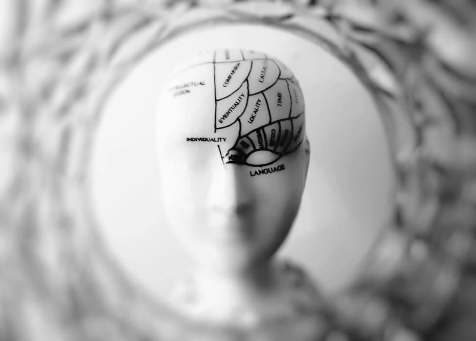 Brain Games Support Memory & Thinking as We Age