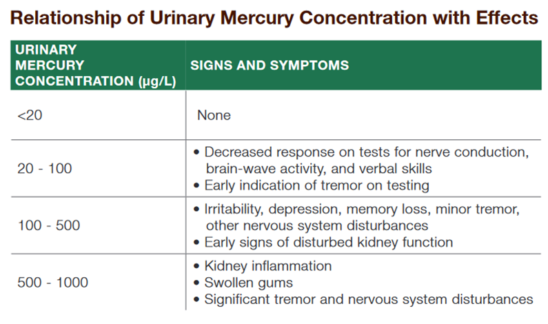 Markers of Mercury Toxicity