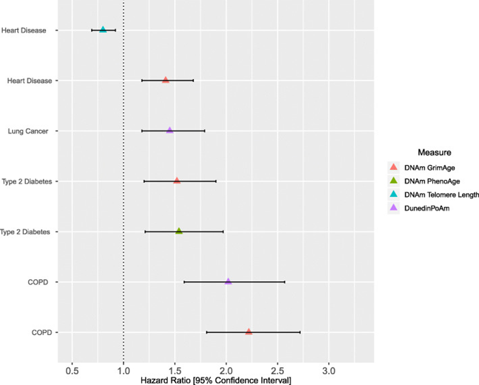 Biological Age: Part 2 - How to Measure Biological Age: An Overview