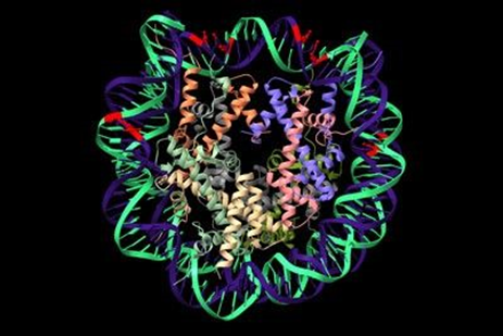 Biological Age: Part 2 - How to Measure Biological Age: An Overview