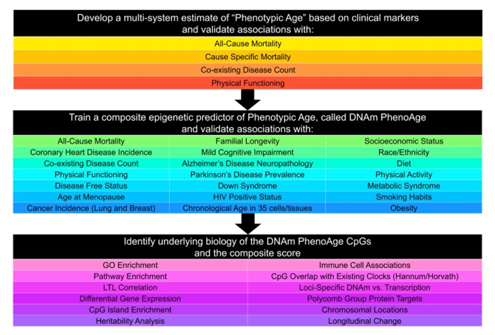 Biological Age BioMarkers Part 1: Introduction and Overview