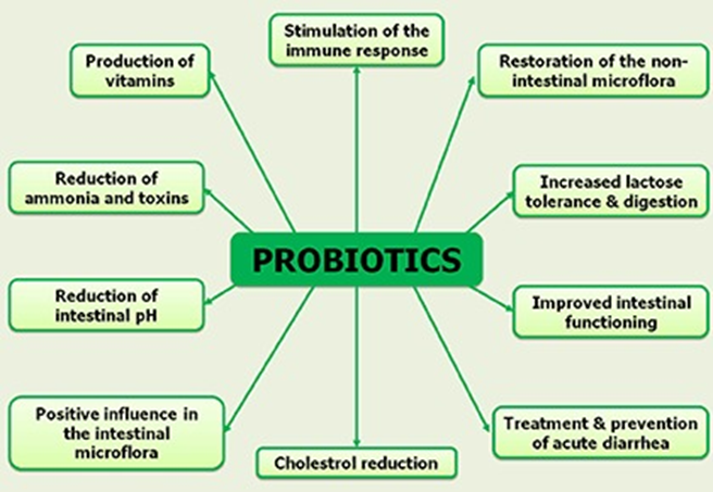 Optimal DX FYI: Dysbiosis in Pictures